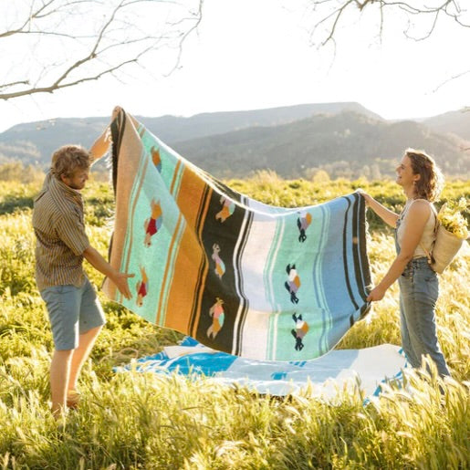 Collections – Sightsee